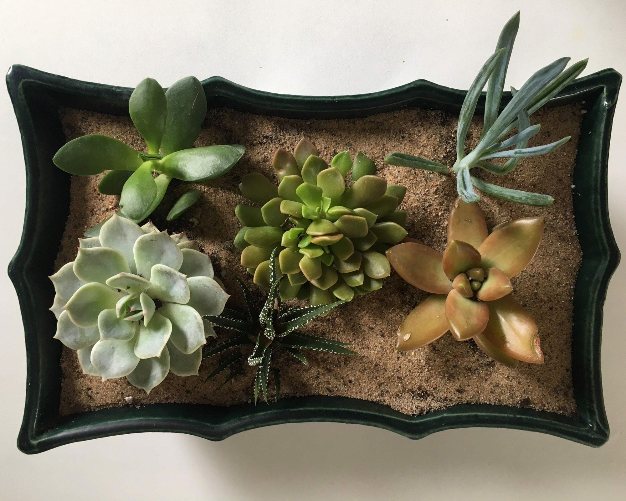 Adding Vintage Style with Houseplants – Tour de Thrift