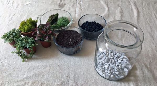 Making Terrariums with Thrift Store Finds – Tour de Thrift